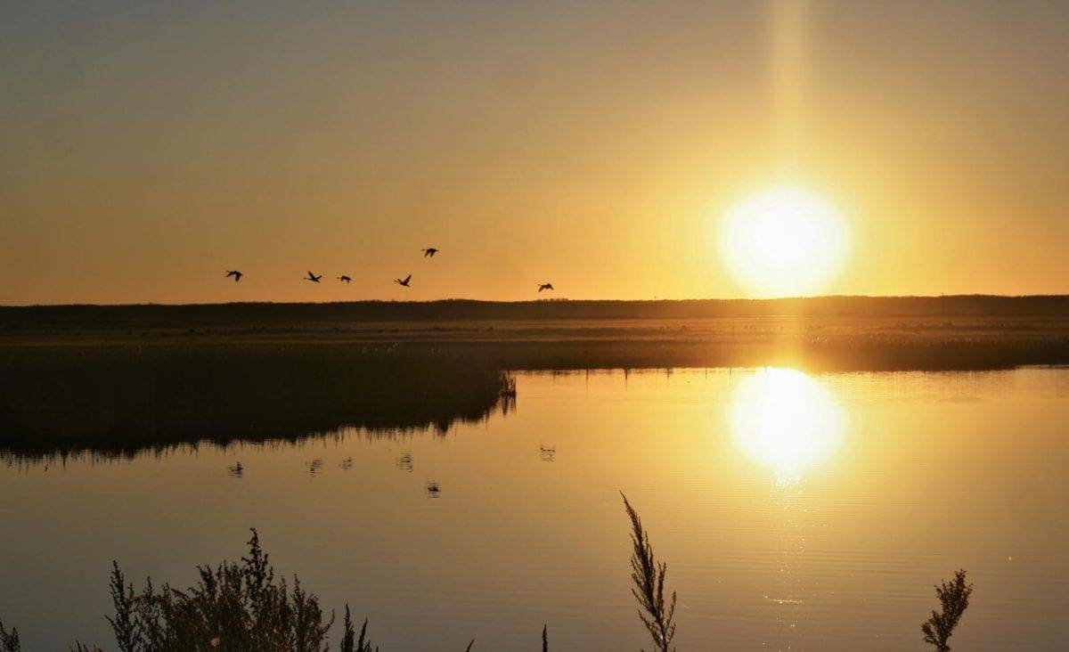 Top Things To Do In Lamont County | Go East of Edmonton