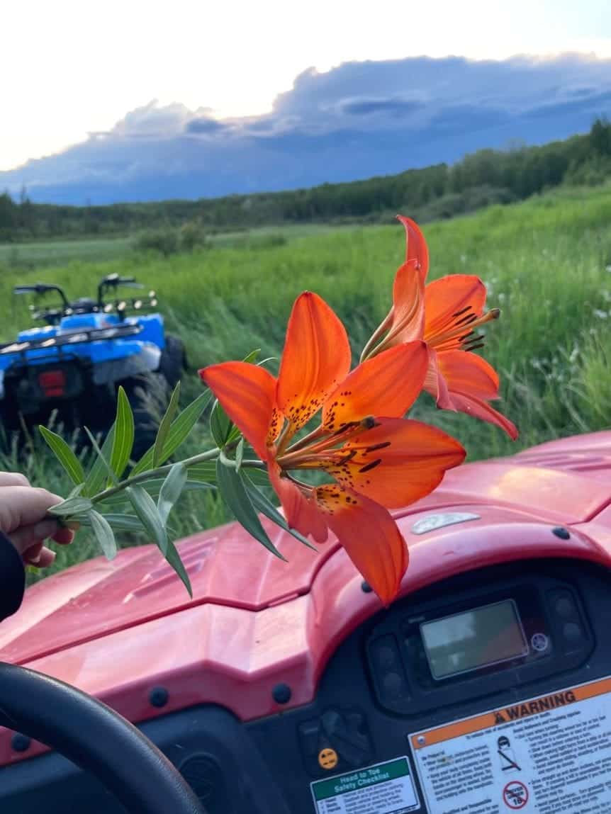 Winners of the Summer Photo Contest! | Go East of Edmonton