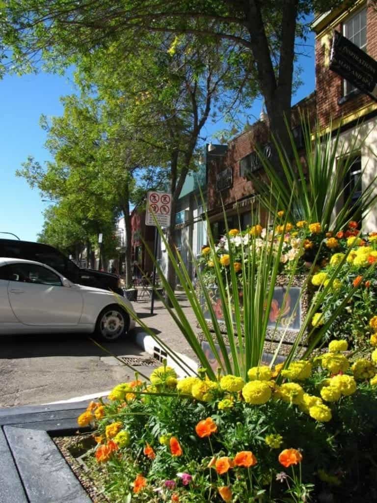 Top 10 Things To Do In Camrose | Go East of Edmonton