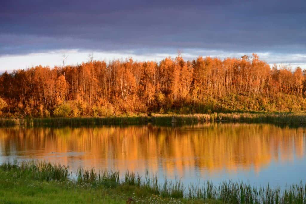 October's Beautiful Roadtrips and Fall Festivals | Go East of Edmonton