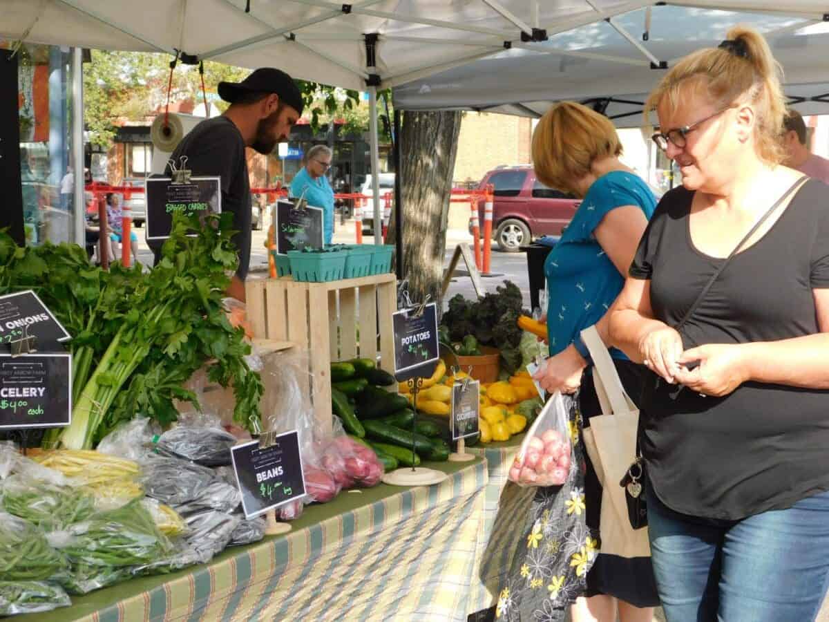 Top 10 Things To Do In Camrose | Go East of Edmonton