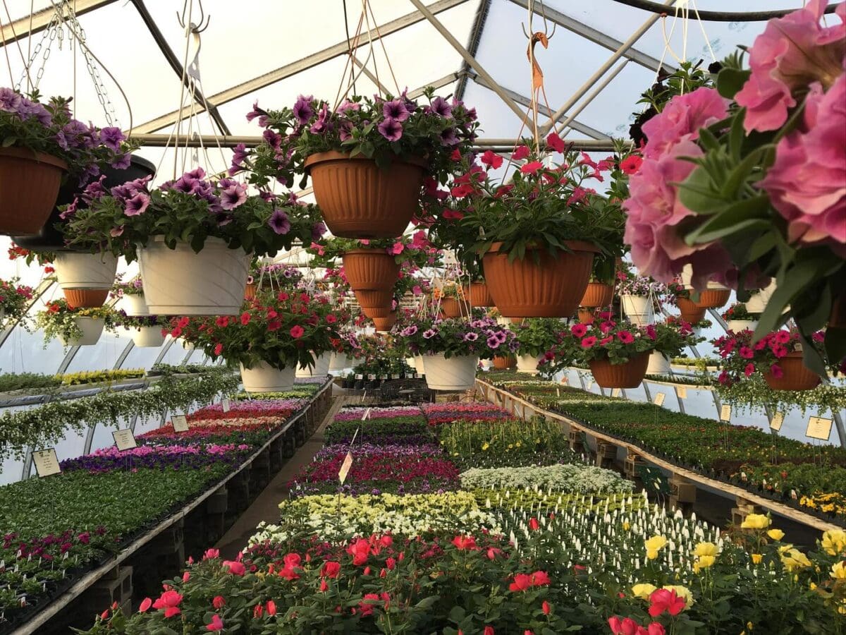 The Great Greenhouse Tour | Go East of Edmonton