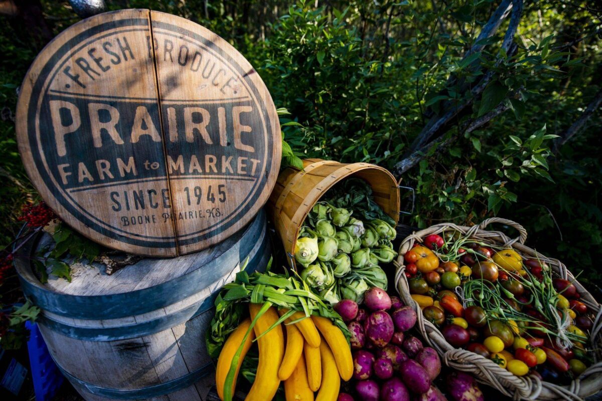 Prairie Gardens Adventure Farm | Go East of Edmonton