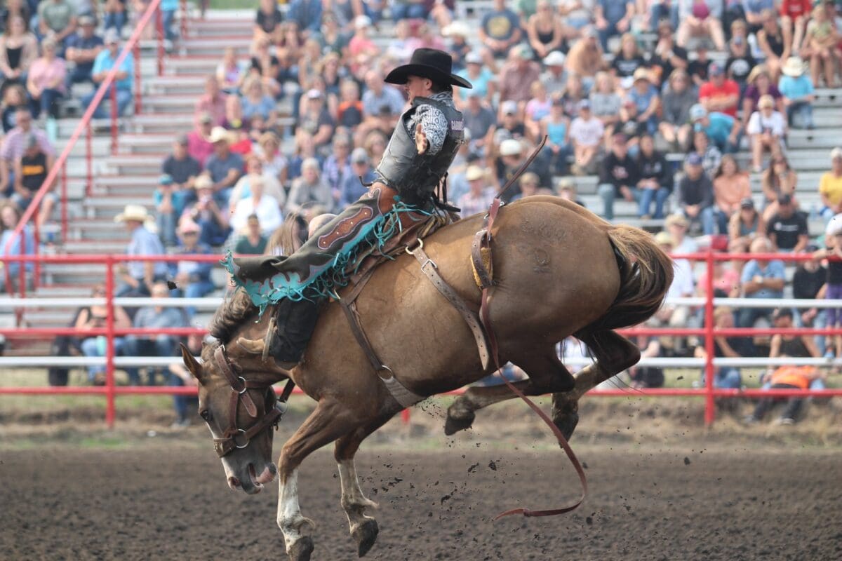 Over 100 Super Summer Festivals and Events East of Edmonton for 2025 ...