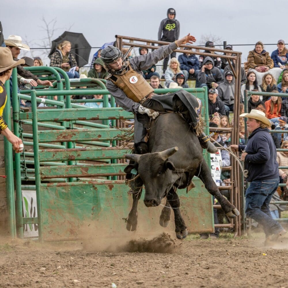 Lamont Summer Sizzler Rodeo | Go East of Edmonton