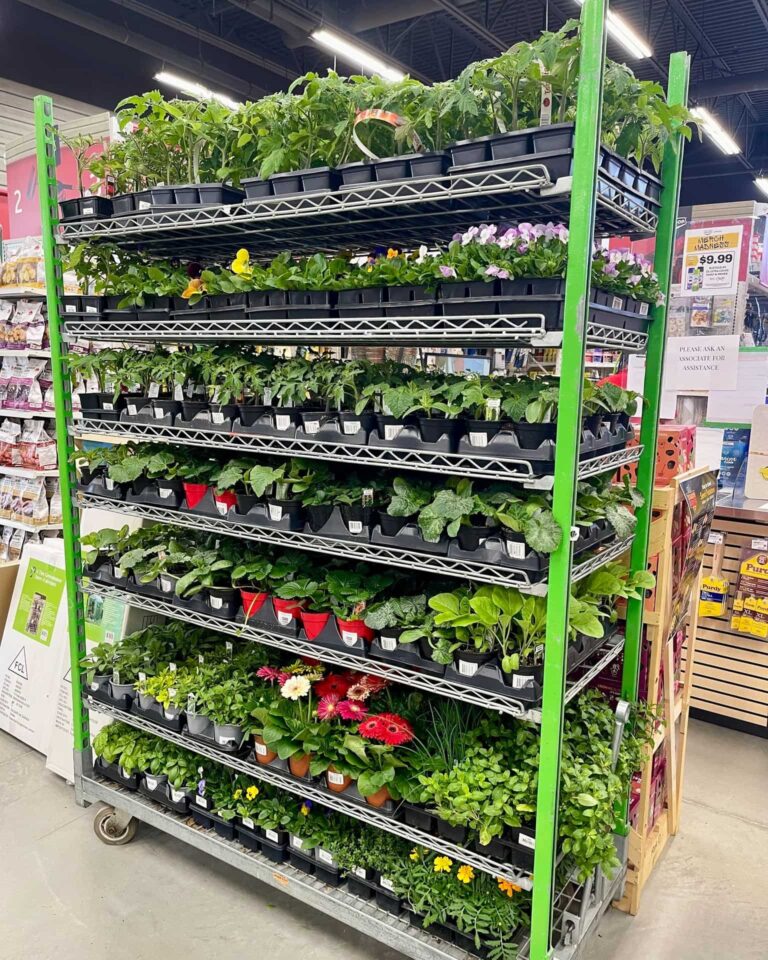 Lakeland Co-op | Go East of Edmonton