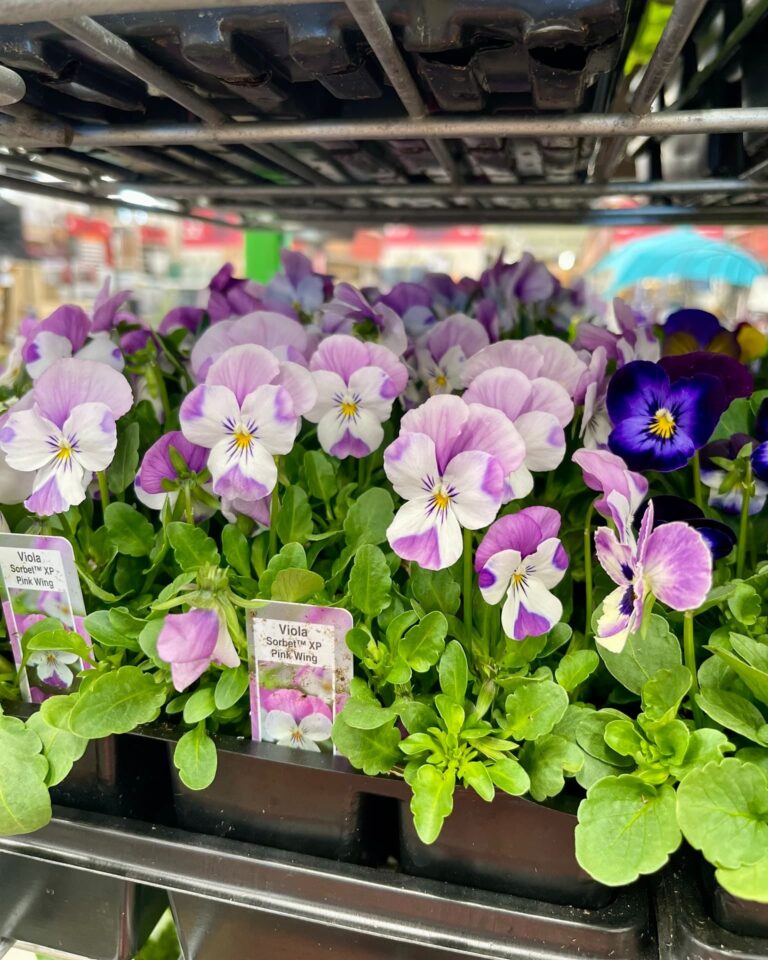 Lakeland Co-op | Go East of Edmonton